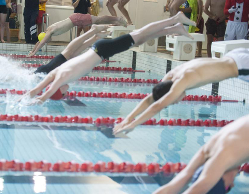 StAC: Swimming Sports 2014 | StAC